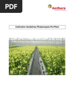 Howweedgrow Ultimate Chart Cheat Sheet | PDF | Hydroponics | Botany