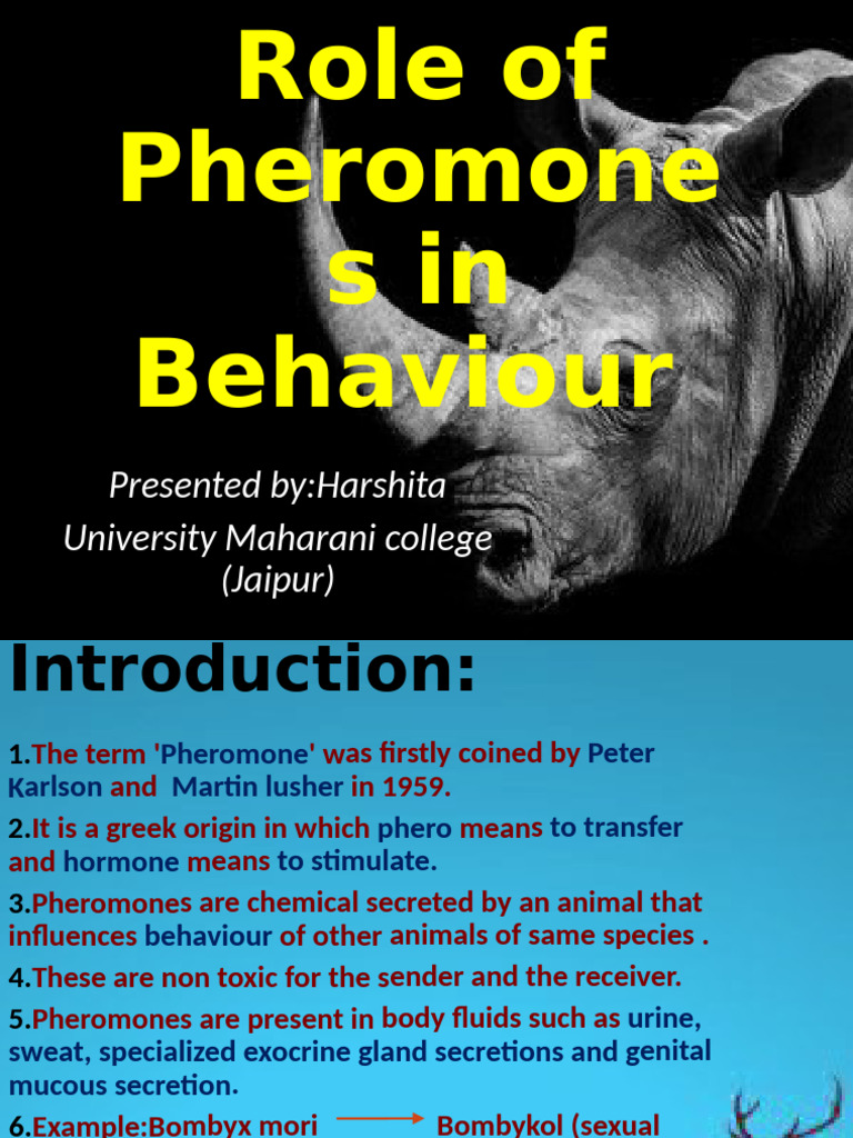 Role of Pheromones in Behaviour | PDF | Pheromone | Insects