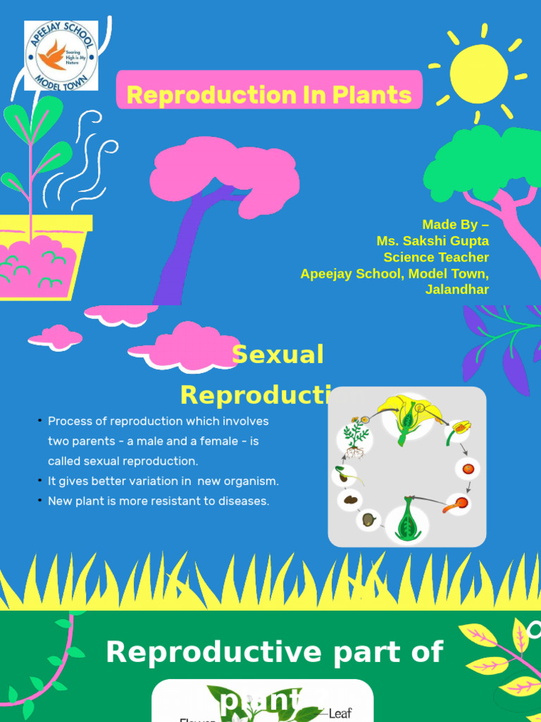 Plant Reproduction: Sexual and Pollination | PDF | Flowers | Seed