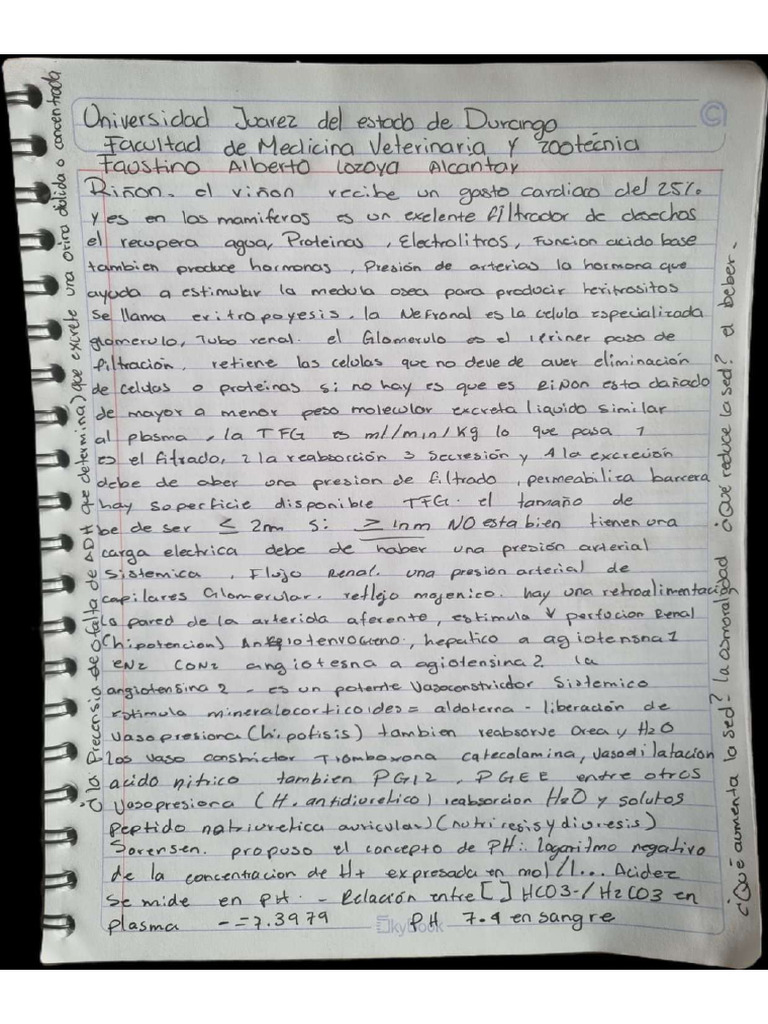 05e0506d-d0b5-4fb2-81a0-c02086f0788e | PDF