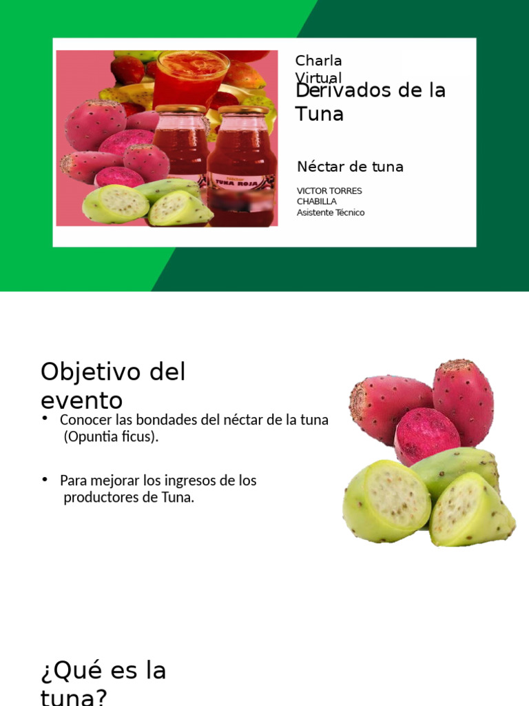 Elaboración de Néctar de Tuna | PDF