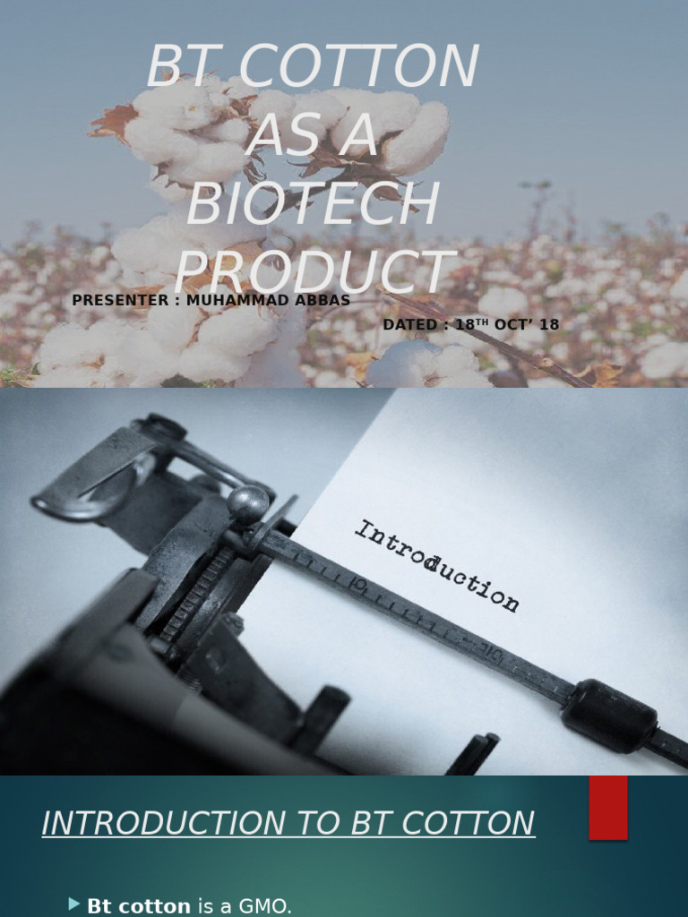 Overview of BT Cotton Biotechnology | PDF | Biology | Biotechnology