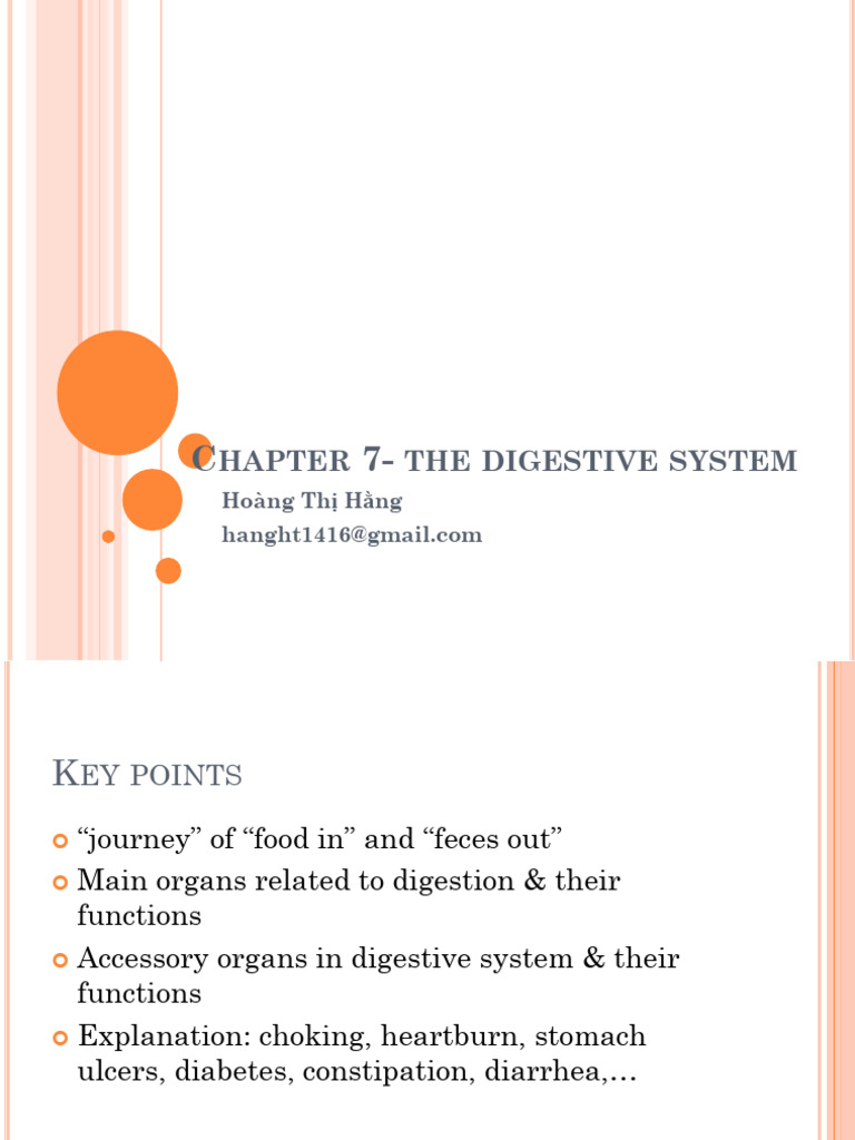Chapter 7 - Digestive System | PDF | Human Digestive System | Esophagus