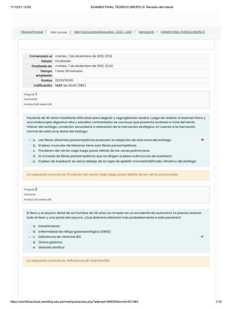 EXAMEN FINAL TEORICO MORFO 3 | PDF | Riñón | Páncreas
