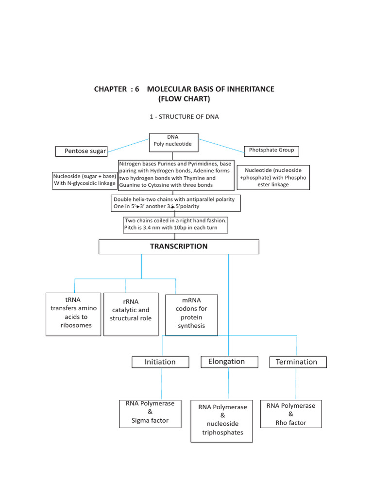 CLASS_XII_BIOLOGY_CHAPTER 6 MOLECULAR BASIS OF INHERITANCE_QUESTION ... CLASS_XII_BIOLOGY_CHAPTER 6 MOLECULAR BASIS OF INHERITANCE_QUESTION ...