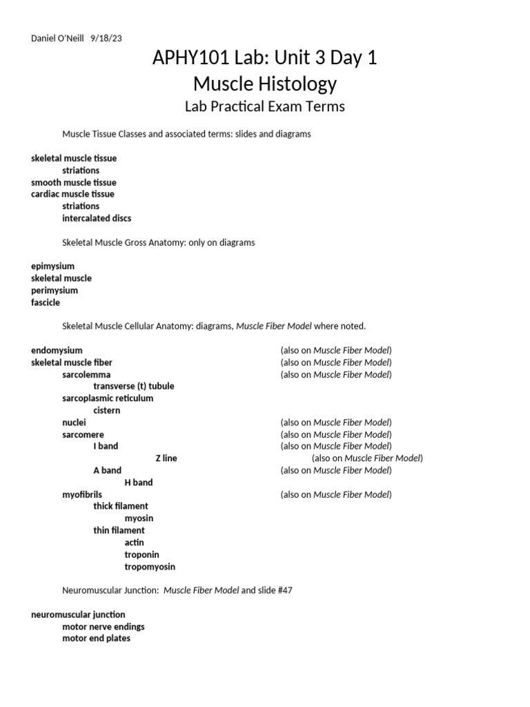 APHY101 Lab 3-1 Muscle Histology | PDF | Skeletal Muscle | Muscle