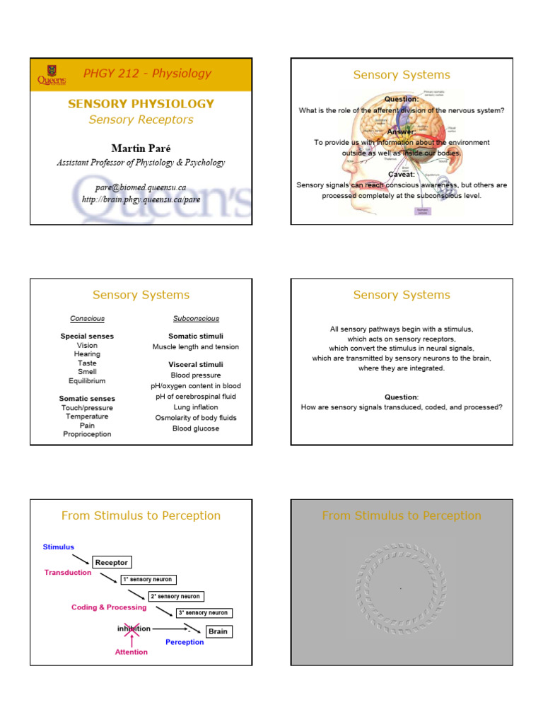 Sensory Physiology Overview and Mechanisms | PDF | Stimulus (Physiology ...