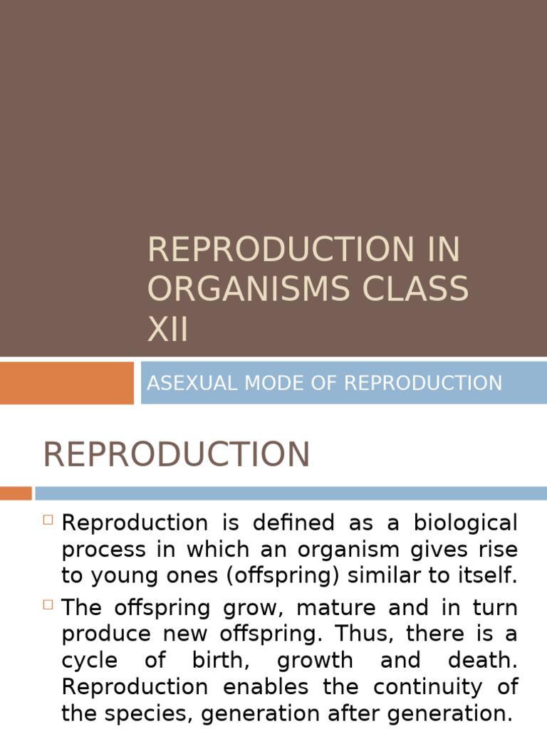 Asexual Reproduction in Organisms | PDF | Fertilisation | Sexual ...