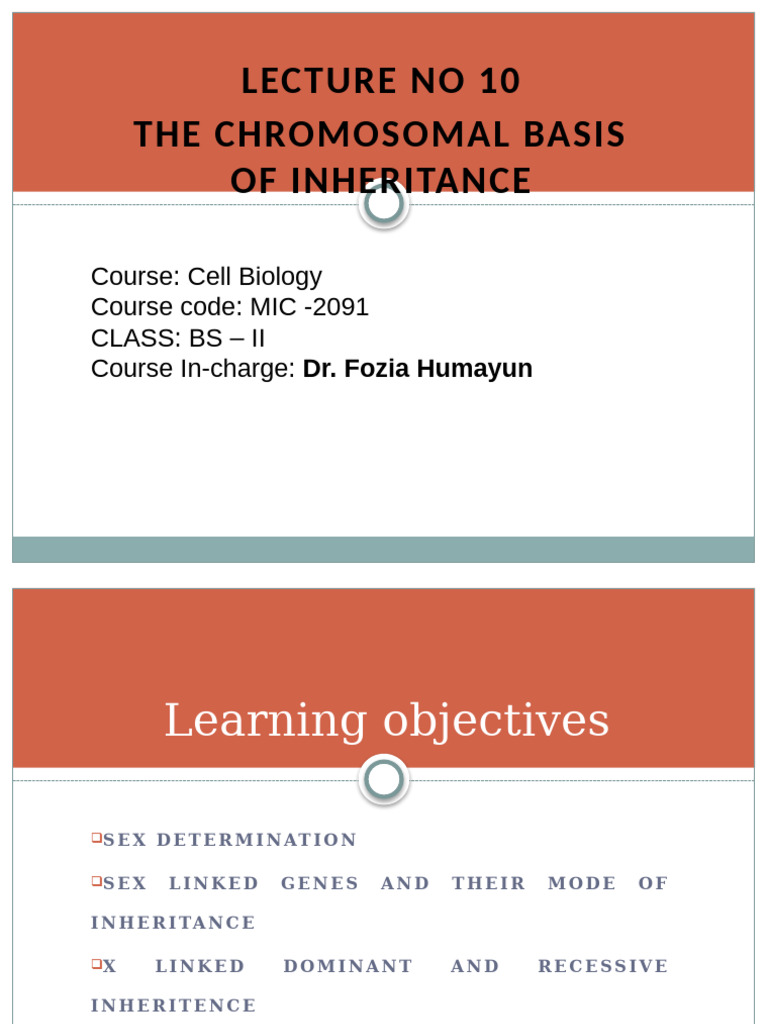 Lecture No 10. Sex Linked Inheritance | PDF