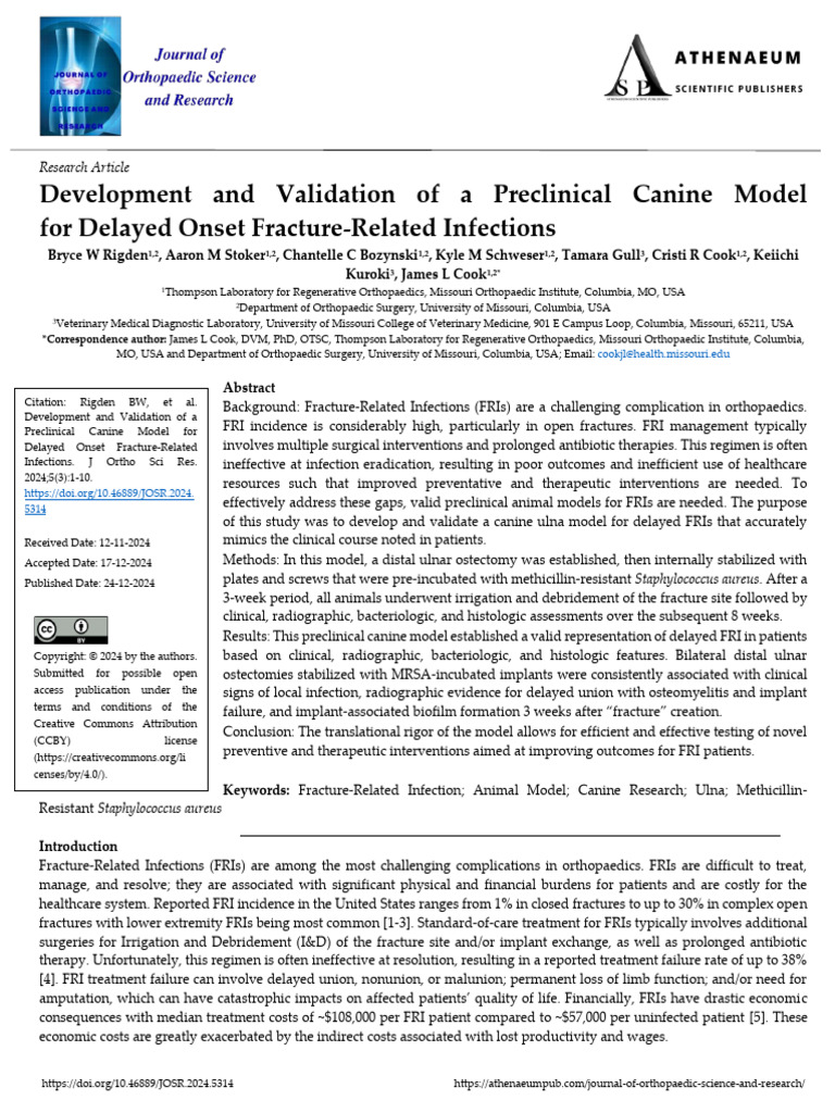Development and Validation of A Preclinical Canine Model For Delayed ...