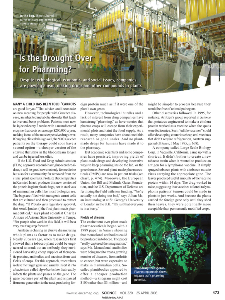 Kaiser 2008 Science (Bio Pharming) 1 | PDF | Genetically Modified ...