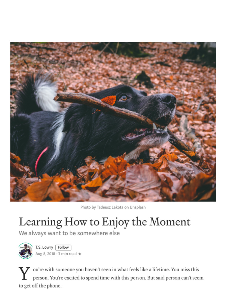 Learning How To Enjoy The Moment | PDF