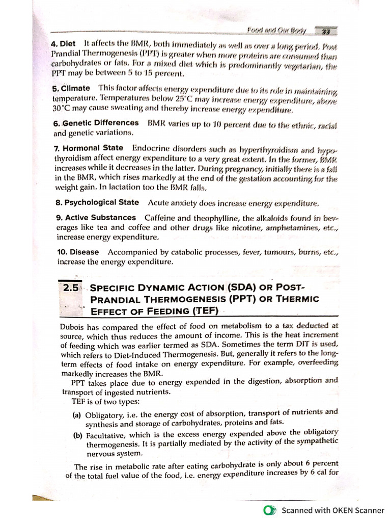 SDA | PDF