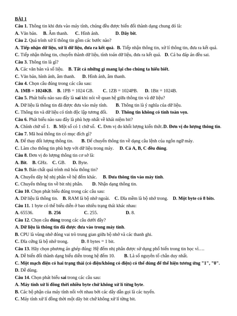 Trac Nghiem Tin Hoc | PDF