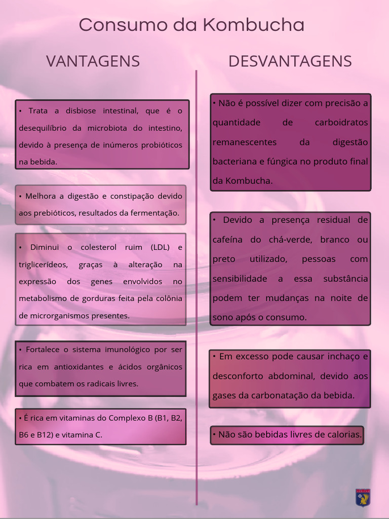 Kombucha QR Code | PDF