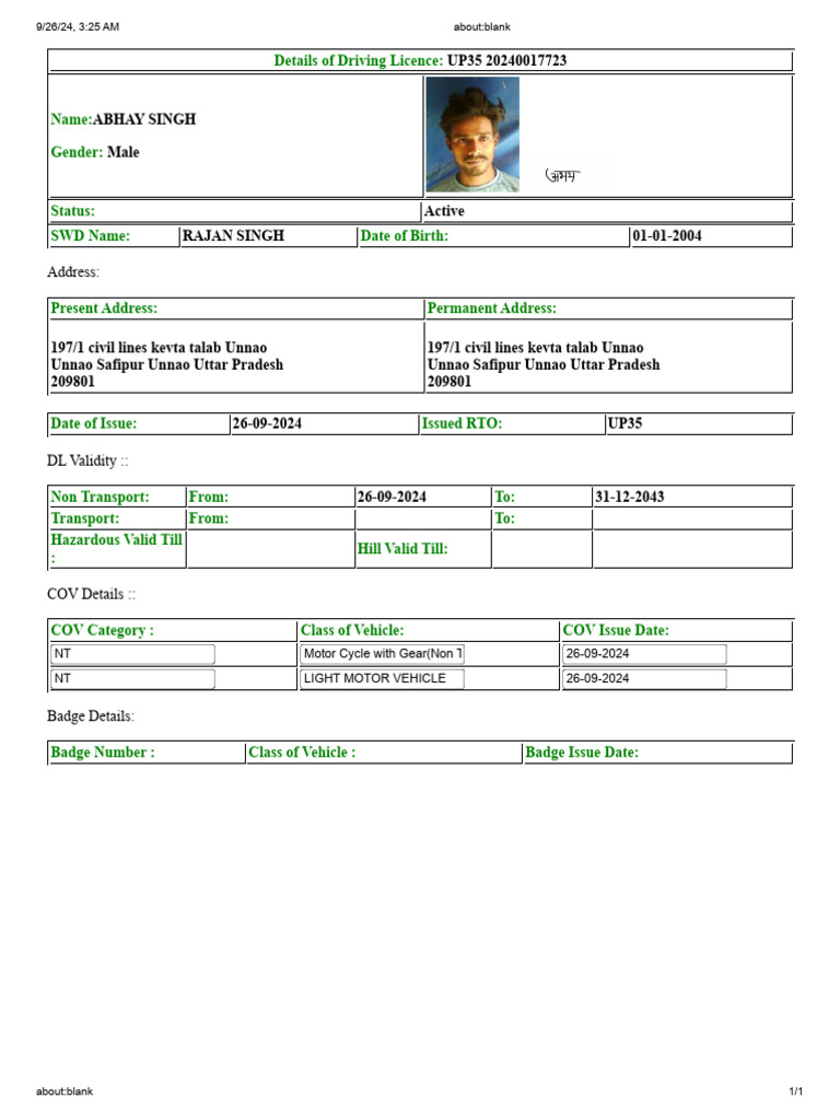 Driving License | PDF
