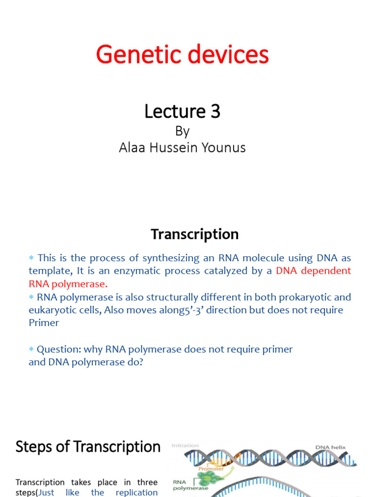lec 3 genetic devices | PDF | Translation (Biology) | Genetic Code