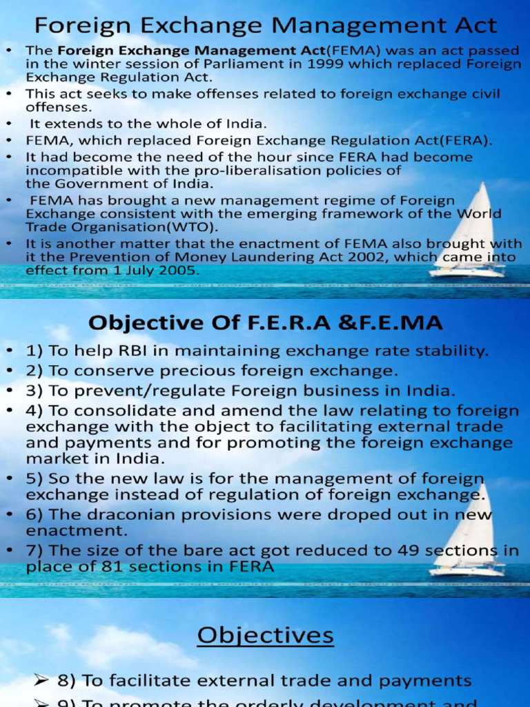 FEMA | PDF