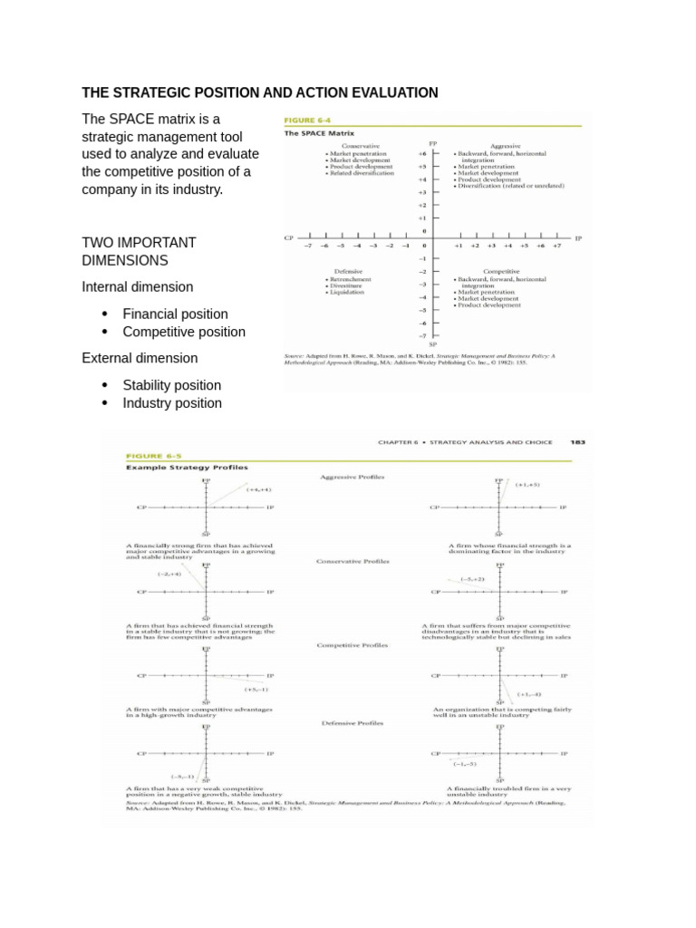The Strategic Position and Action Evaluation | PDF