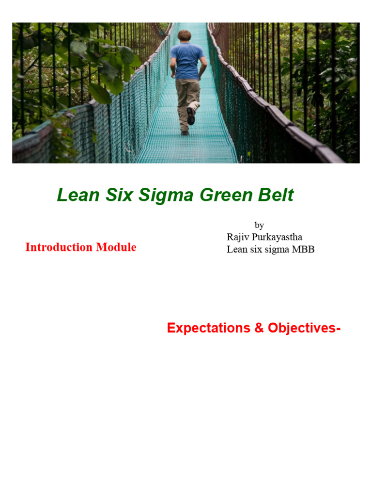 Lean Six Sigma - Part 1 Complete | PDF | Six Sigma | Standard Deviation