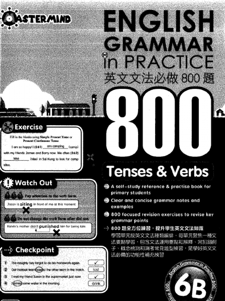 3MS Eng Gr in Practice 800 6B_compressed | PDF