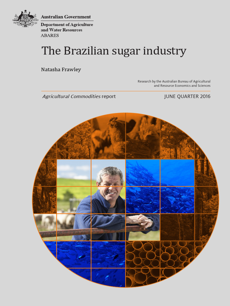 brazilian-sugar-industry | PDF | Sugarcane | License