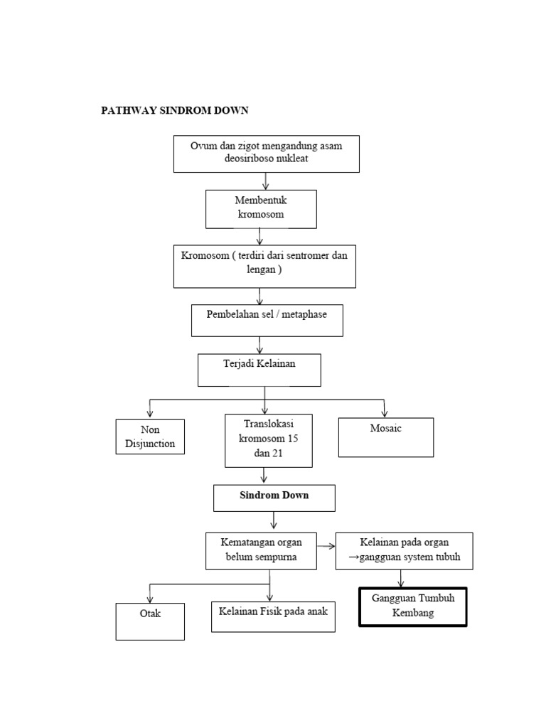 Pathway Sindrom Down | PDF