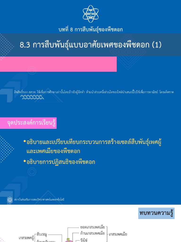 m5 08 3plant Reproduction 003 PPT Preview | PDF