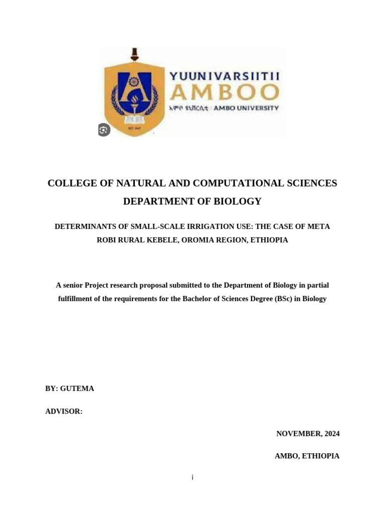 Gutema Holeta | PDF | Climate Resilience | Smallholding