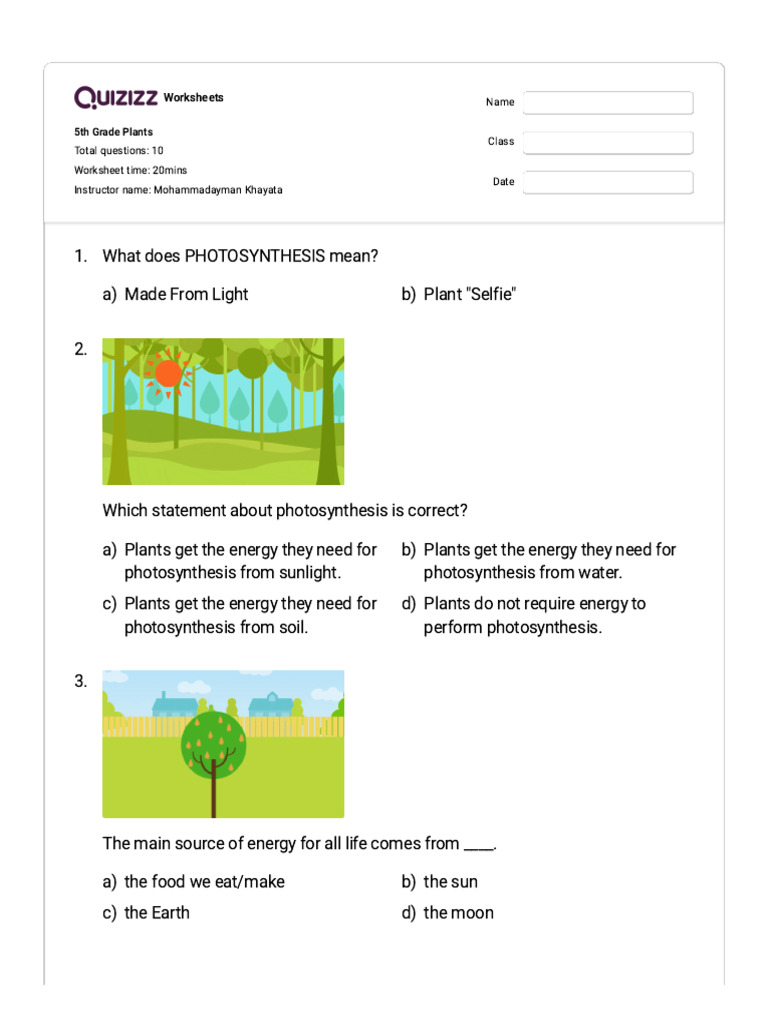 5th Grade Plants - Quizizz | PDF