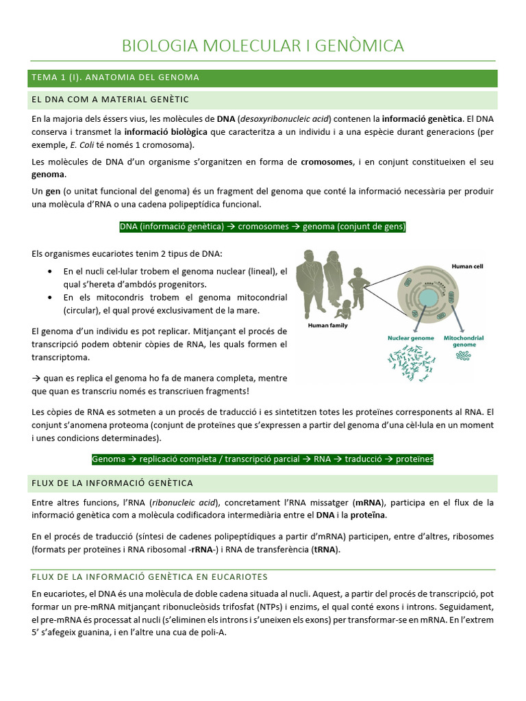 Temario Parcial Biomol | PDF