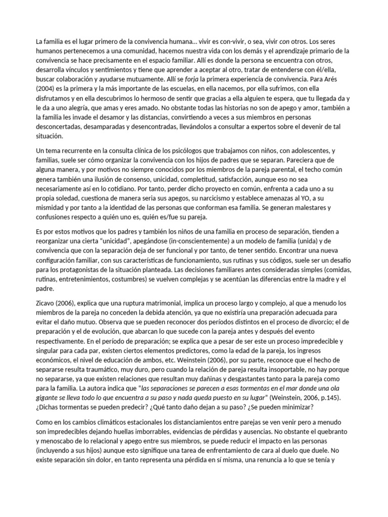 Impacto del Divorcio en la Familia | PDF | Teoría de apego | Dolor