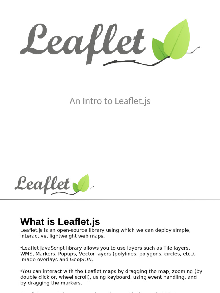 Leaflet Pdf Software Development Software Engineering