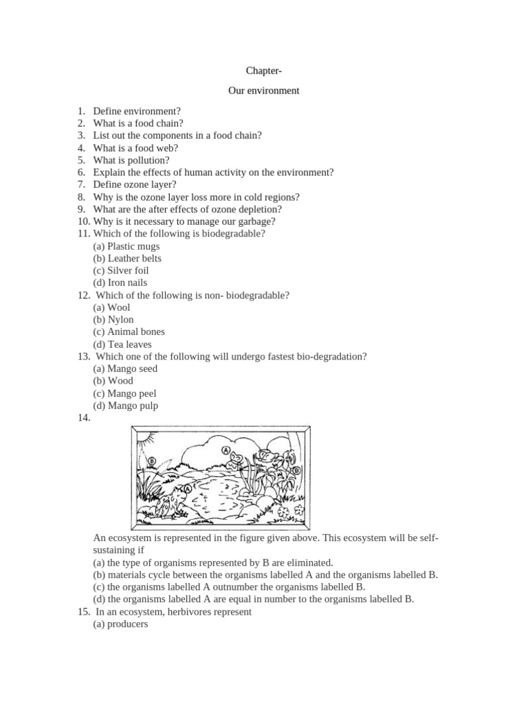 Our Environment | PDF | Food Web | Chlorofluorocarbon