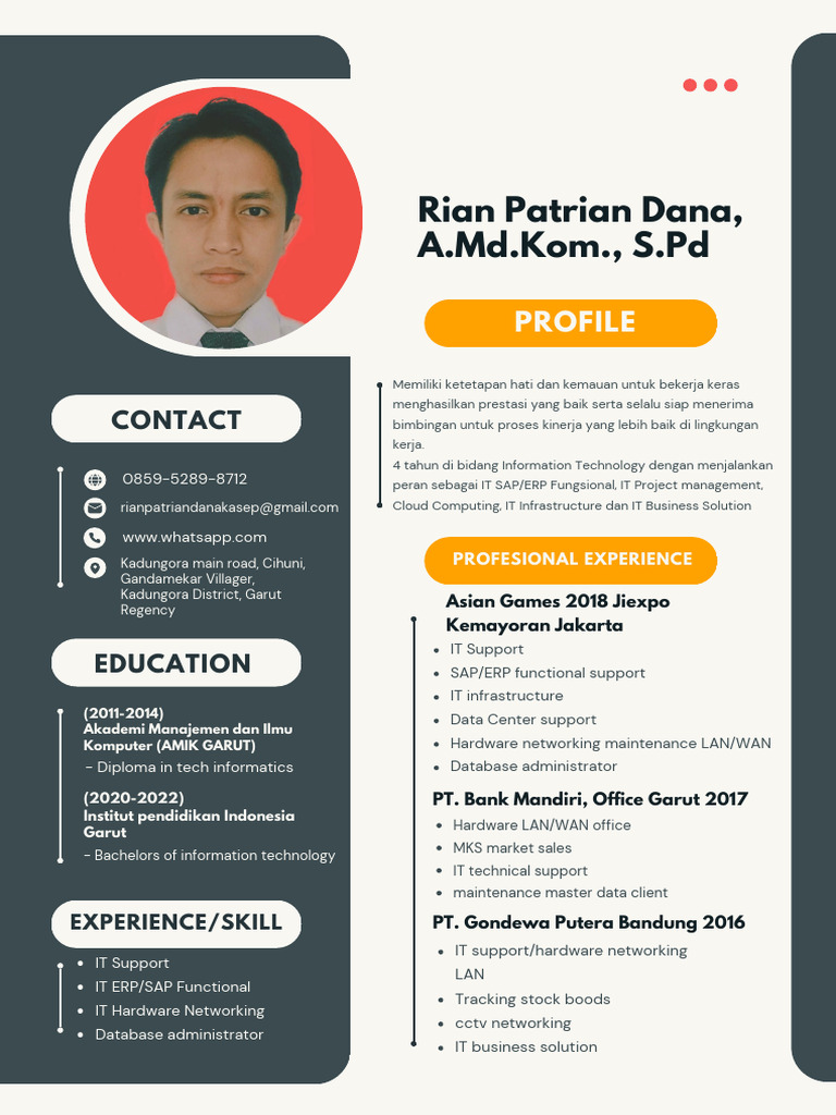 CV Rian Patrian Dana IT | PDF