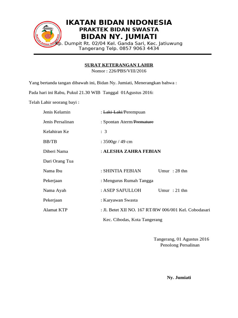 SURAT KETERANGAN LAHIR | PDF