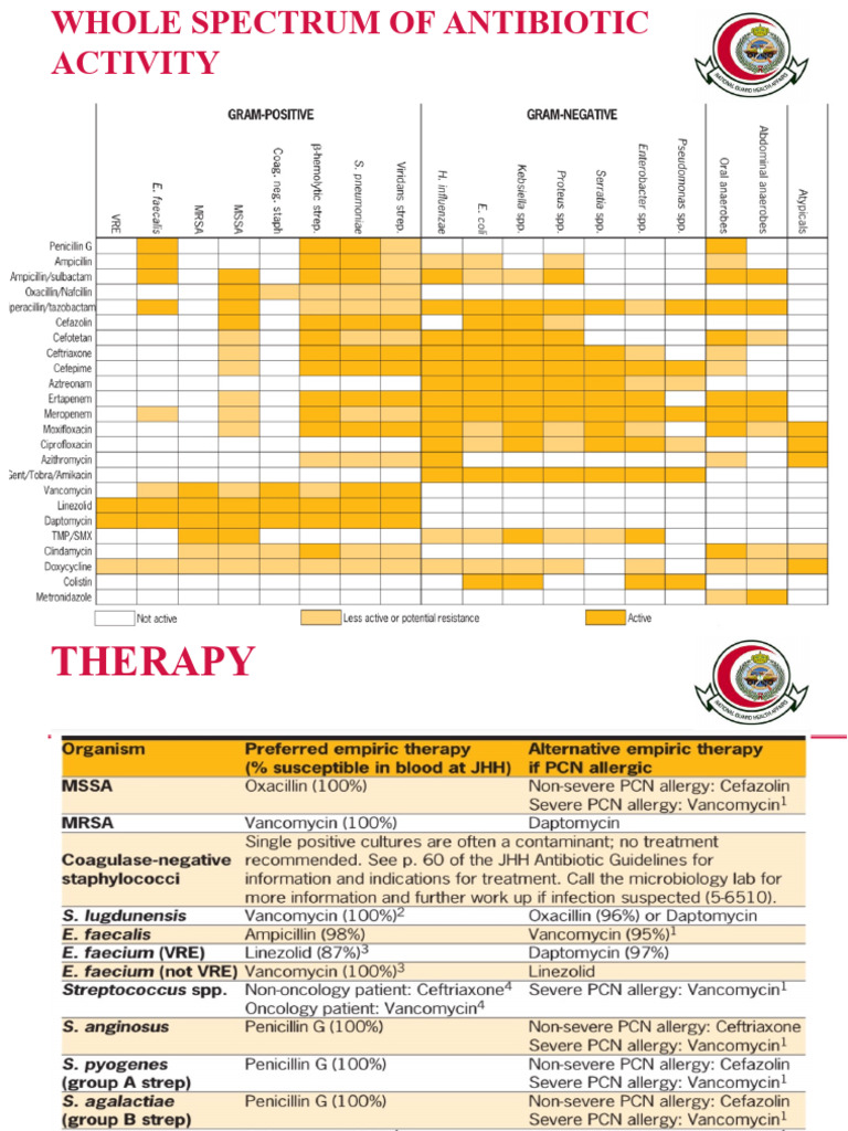 Antibiotics Review - 4 | PDF