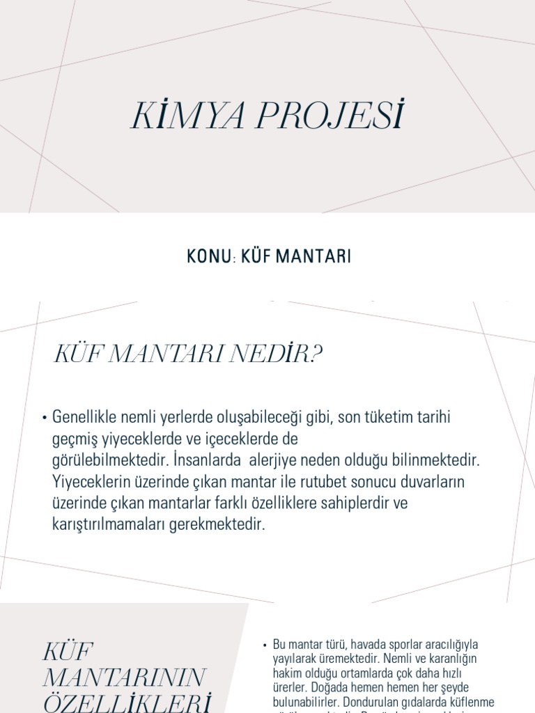 K Mya Projes: Konu Küf Mantari | PDF