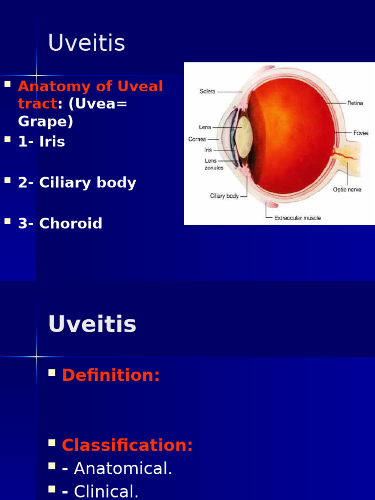Uveitis | PDF | Diseases And Disorders | Medical Specialties