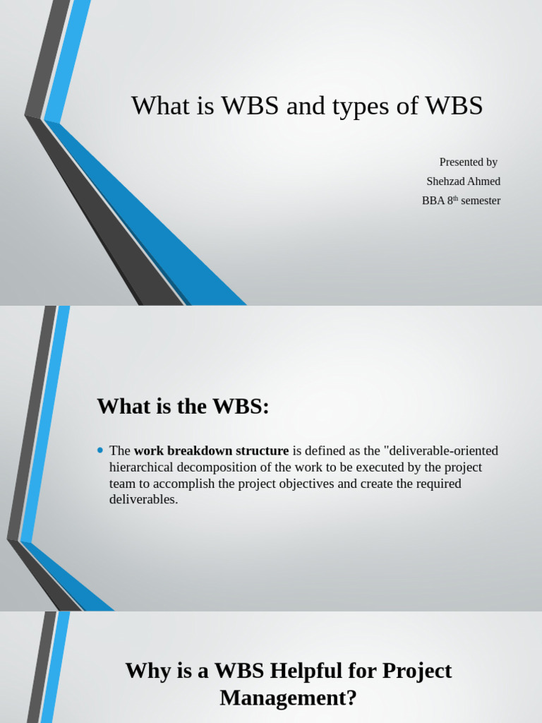 Types of WBS Shehzad | PDF