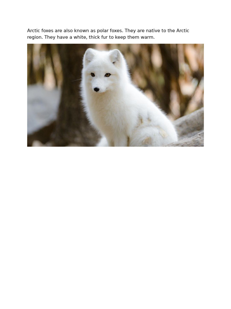 Arctic Fox | PDF