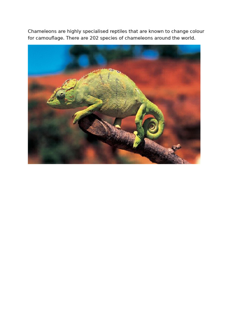 Chameleons: Color-Changing Reptiles Explained | PDF