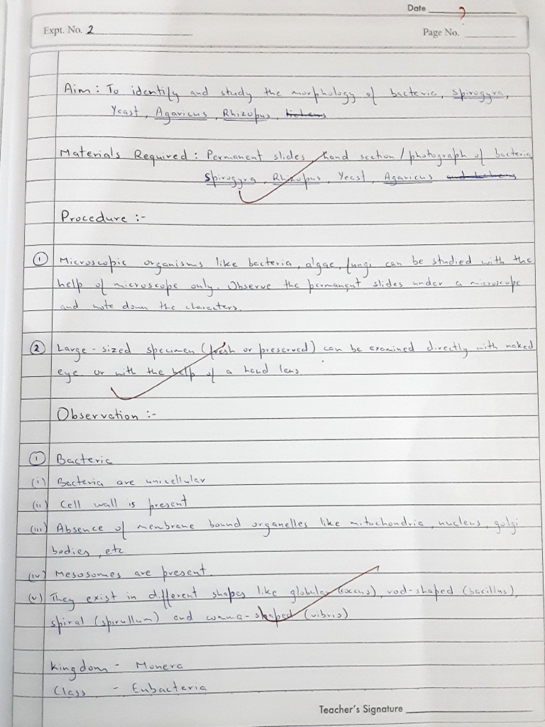 Bio Experiments 2 and 3 | PDF | Organisms