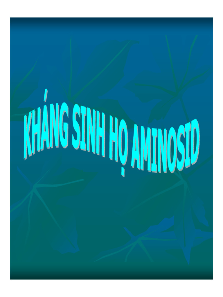 HÓA DƯ C - 05 - Kháng Sinh Nhóm Aminosid | PDF