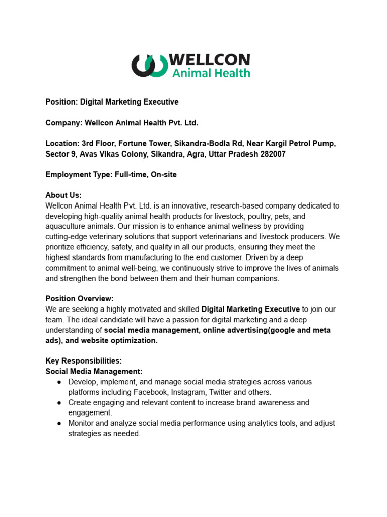 JD Format | PDF | Digital Marketing | Social Media