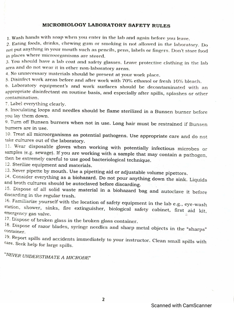 01P Lab Safety Rules and BSL Levels | PDF