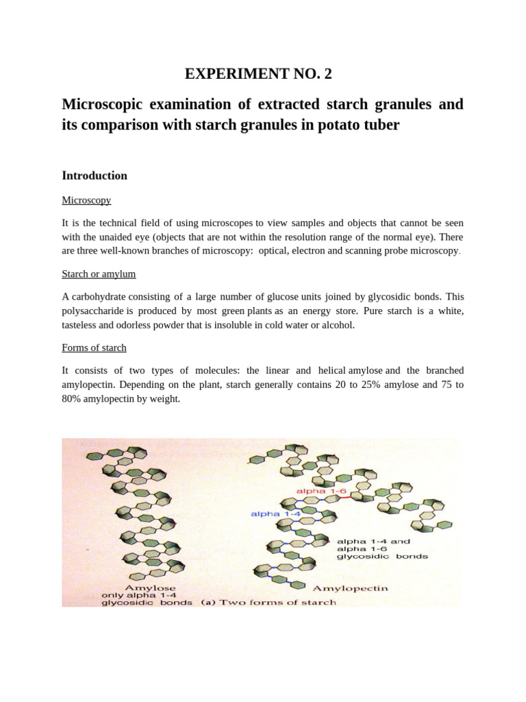 EXPERIMENT NO. 2 | PDF