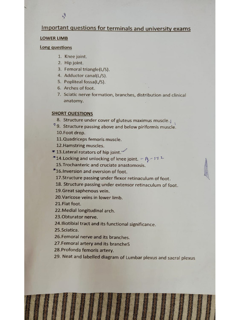 Imp Lower Limb | PDF