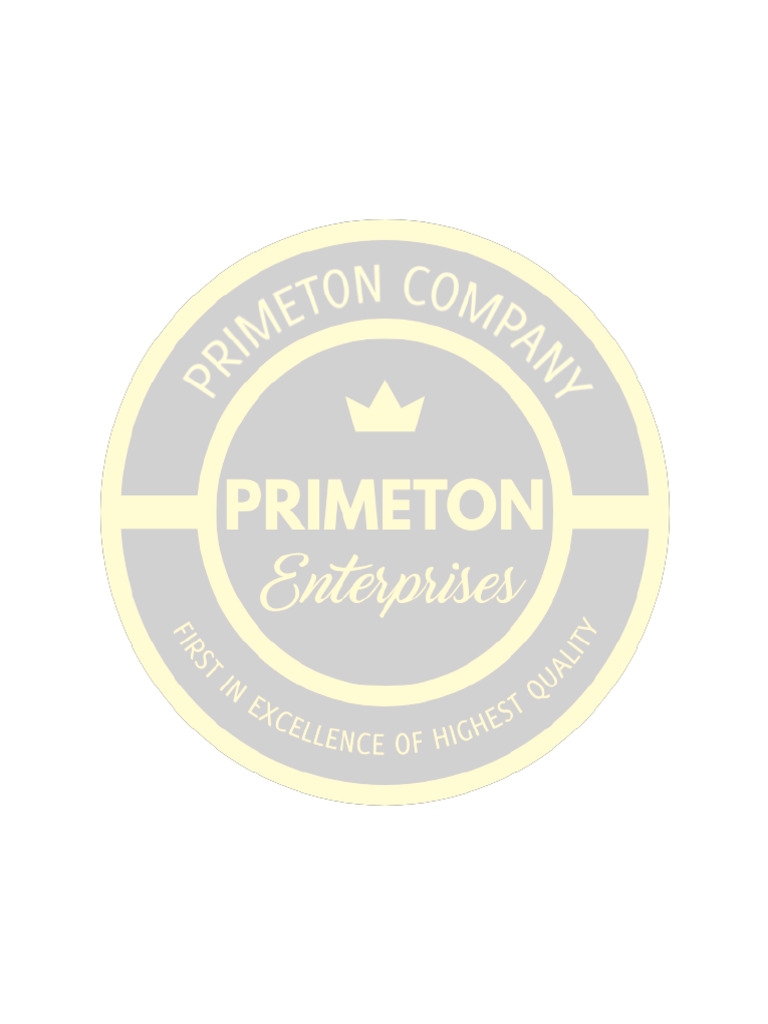 PRIMETON CEO PROFILE | PDF | Creativity | Brand
