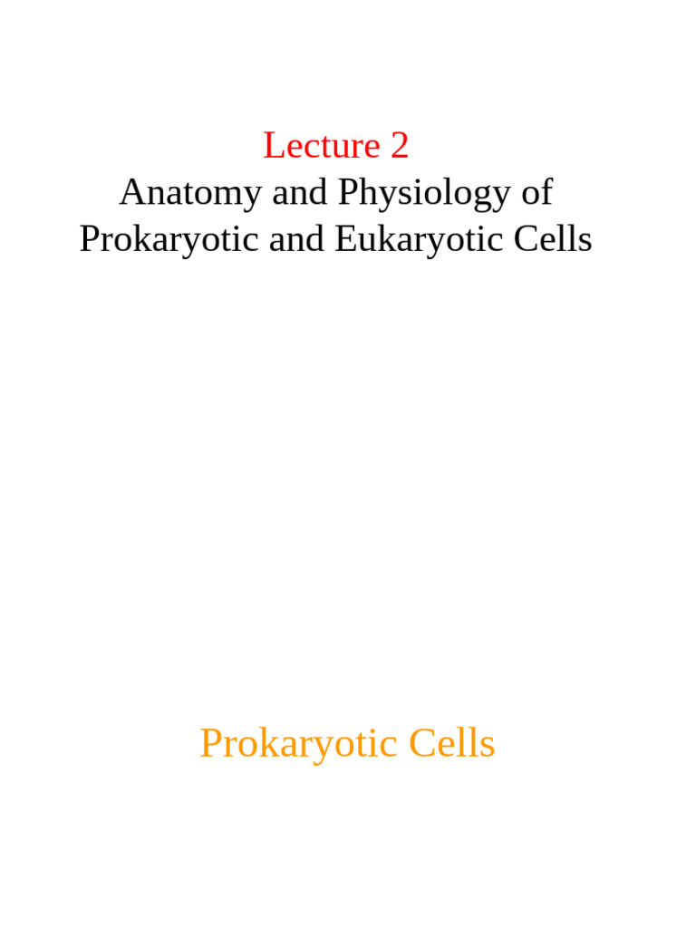 2. Anatomy and Physiology of Prokaryotic Cells | PDF | Cell (Biology ...